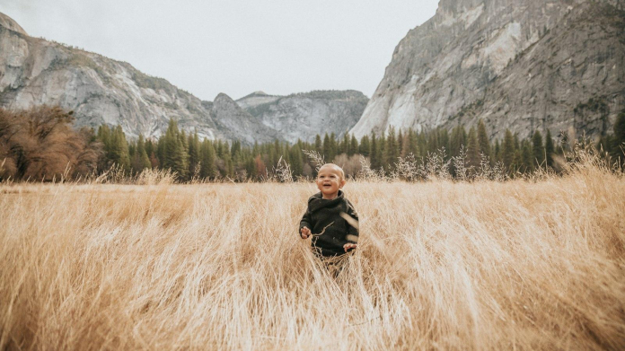 Discovering Adorable Extinct Creatures: The Cutest Animals in History ...