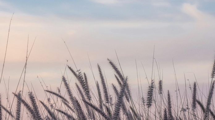 Exploring the Charm of Mister Rogers Neighborhood Tattoos - Oli And Alex