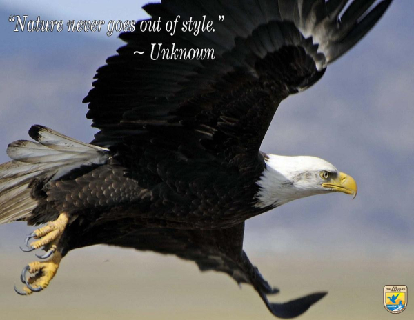 Get Inspired: 50 Catchy Mystery Title Ideas - Oli And Alex