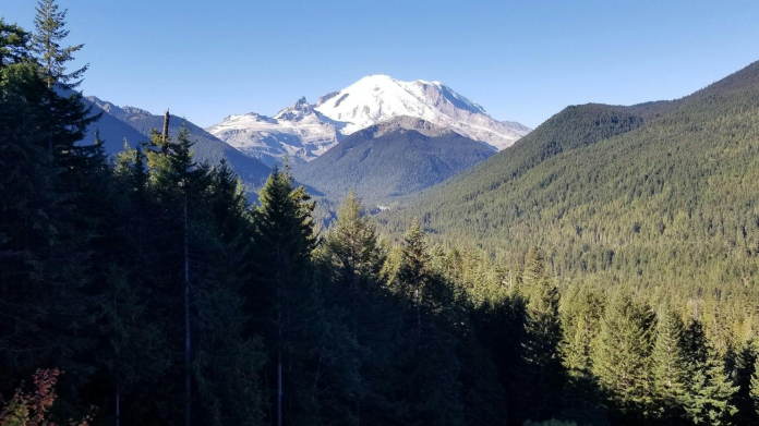 Chonda Pierce's Daughter: A Heartwarming Journey of Faith and ...